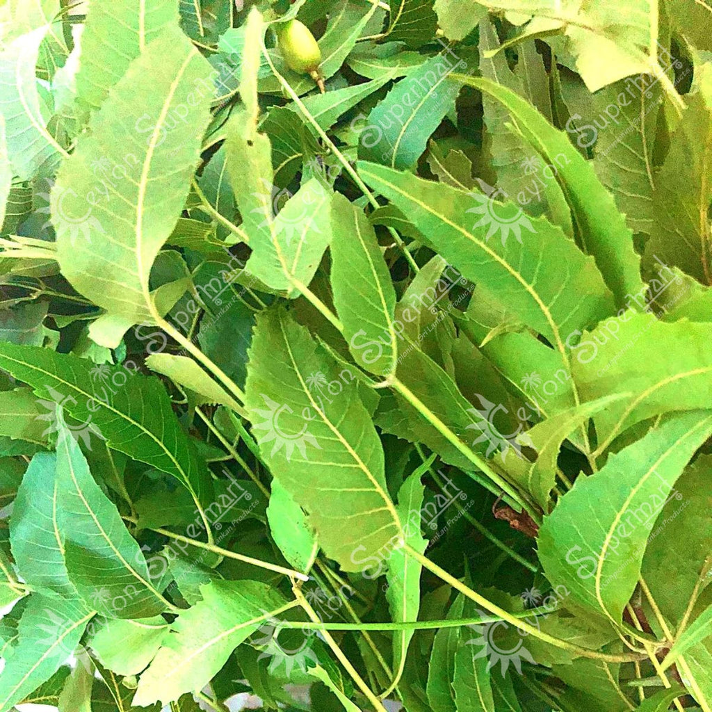 Buy Fresh Kohomba Leaves | Neem Leaves 200g from Ceylon Supermart in the UK