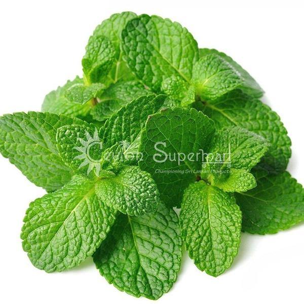 Buy Fresh Mint Leaf Bunch, Each from Ceylon Supermart in the UK & Europe